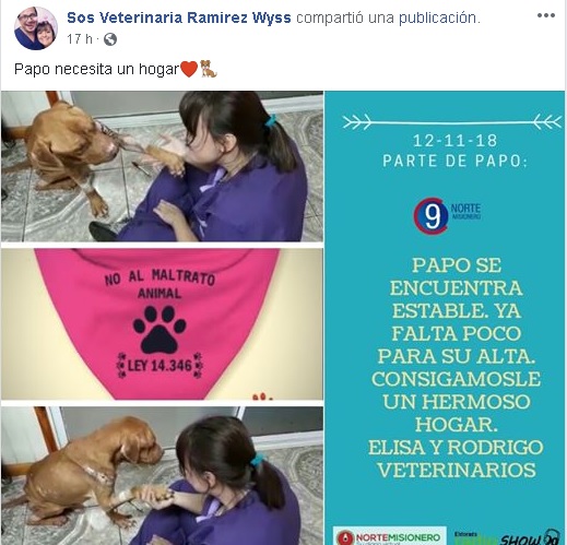 Papo recibirá ayuda para rehabilitarse en su socialización con otros ...