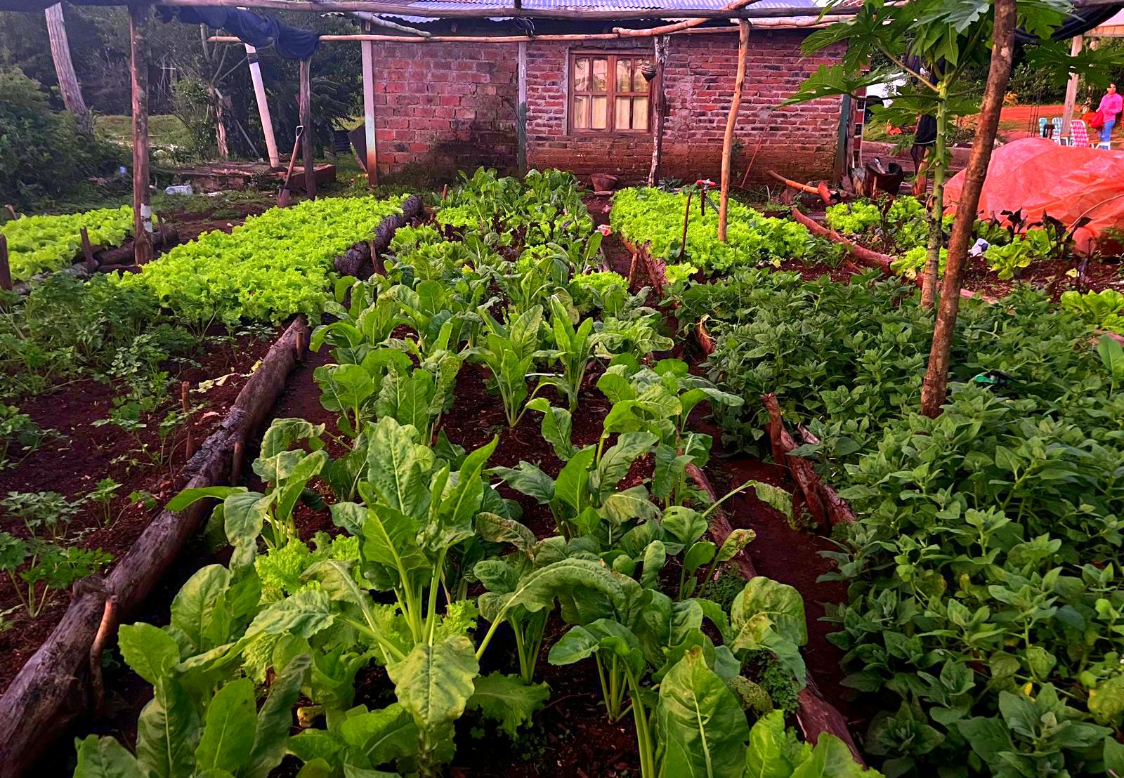 Ley de Parques Sustentables para la Producción Agroecológica, un paso ...