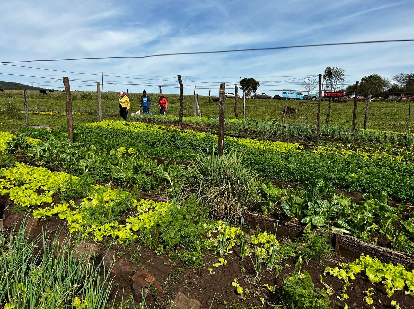 Ley de Parques Sustentables para la Producción Agroecológica, un paso ...