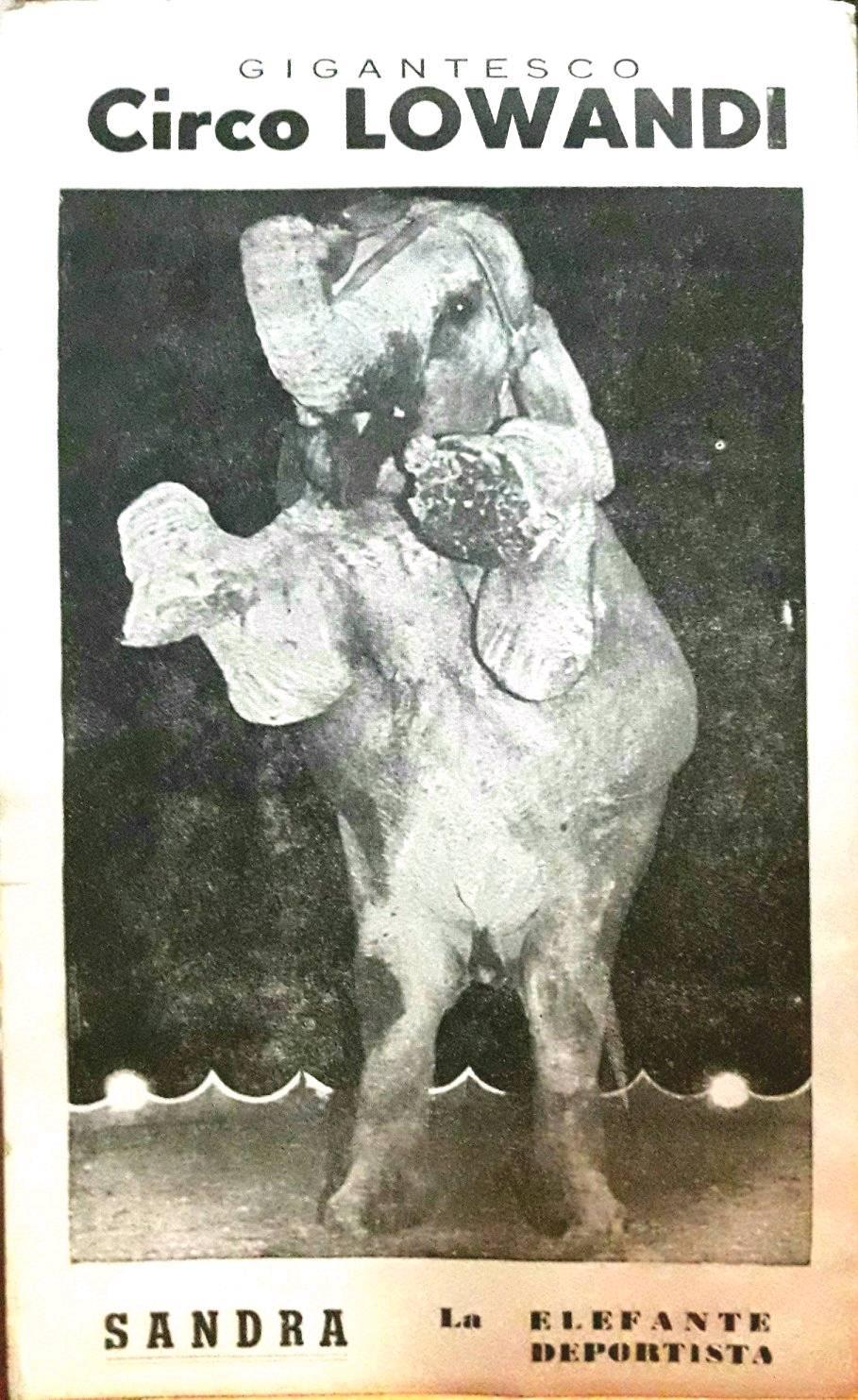 Sandra Giménez: “Soy tan fuerte como una elefanta”