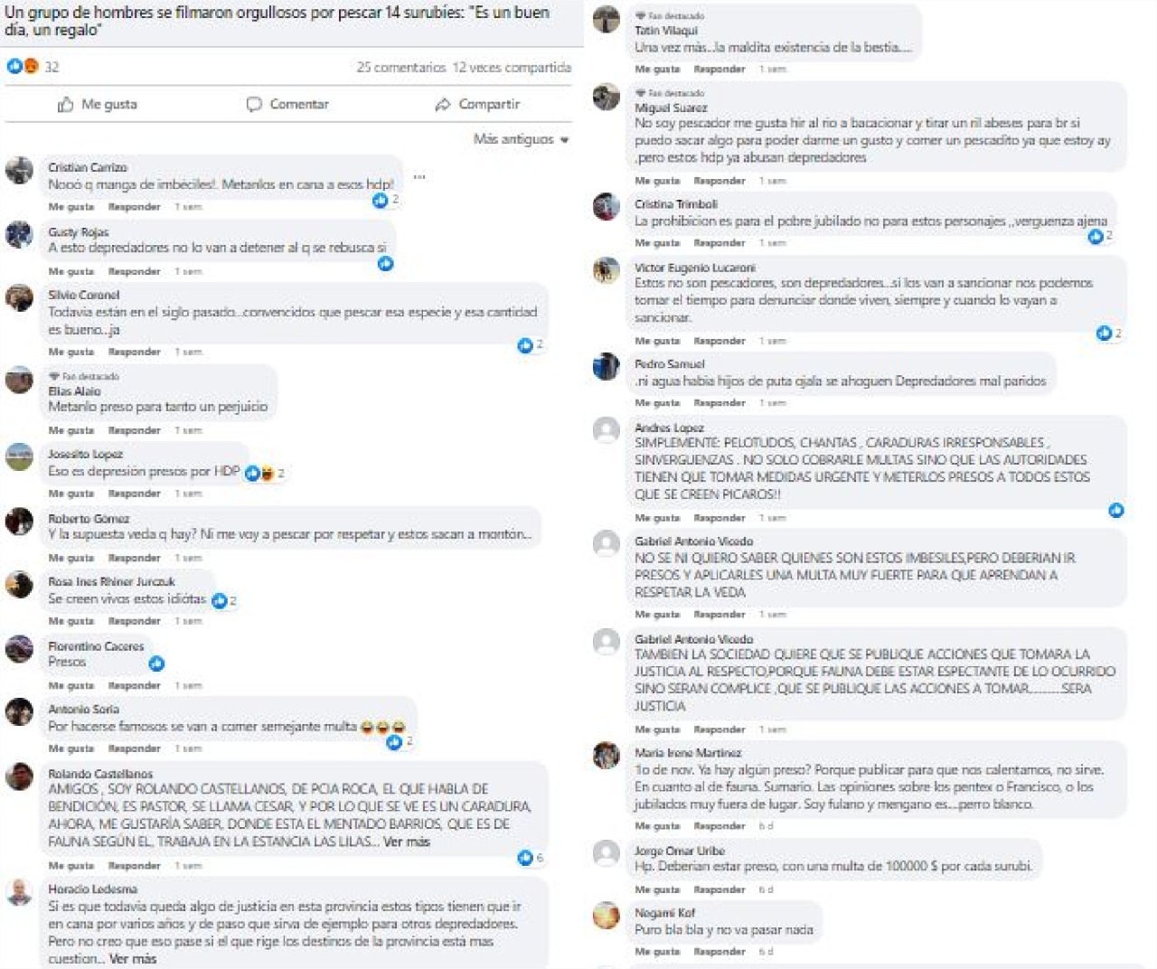 Pescaron 14 surubíes, se viralizó el video y los repudiaron
