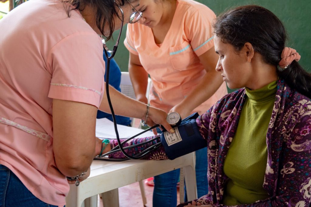 Increíble hallazgo: Fotografiaron por primera vez en Misiones al zorro ...
